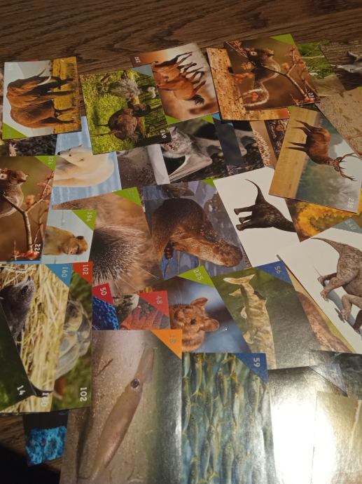 Životinjsko carstvo sličice