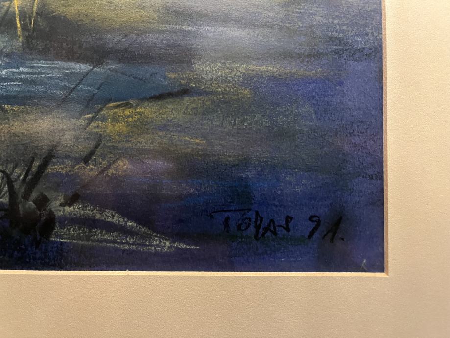 Akademski slikar Mario Tomas