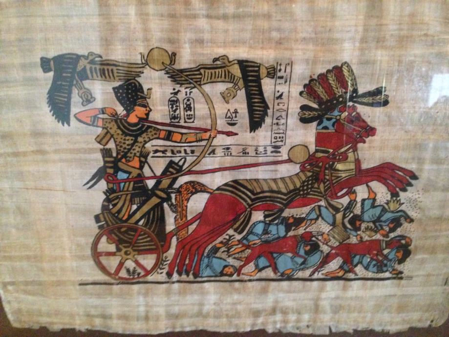 EGIPATSKI PAPIRUS SA OKVIROM