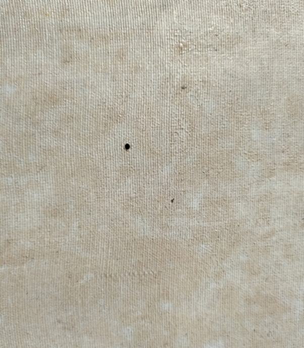 Ivan Stanisic Hans ulje na platnu