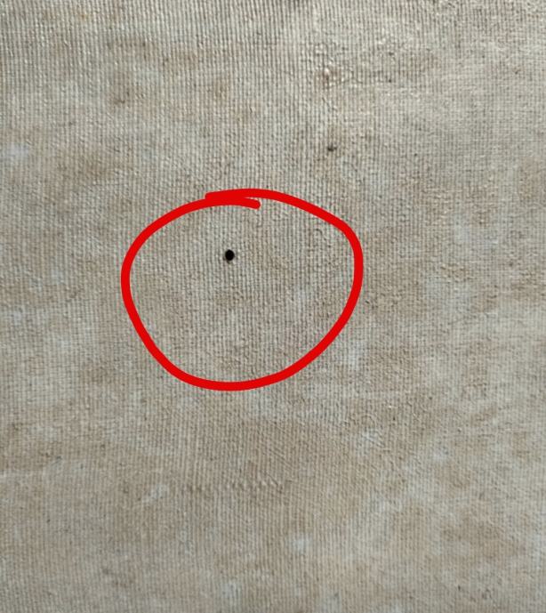 Ivan Stanisic Hans ulje na platnu