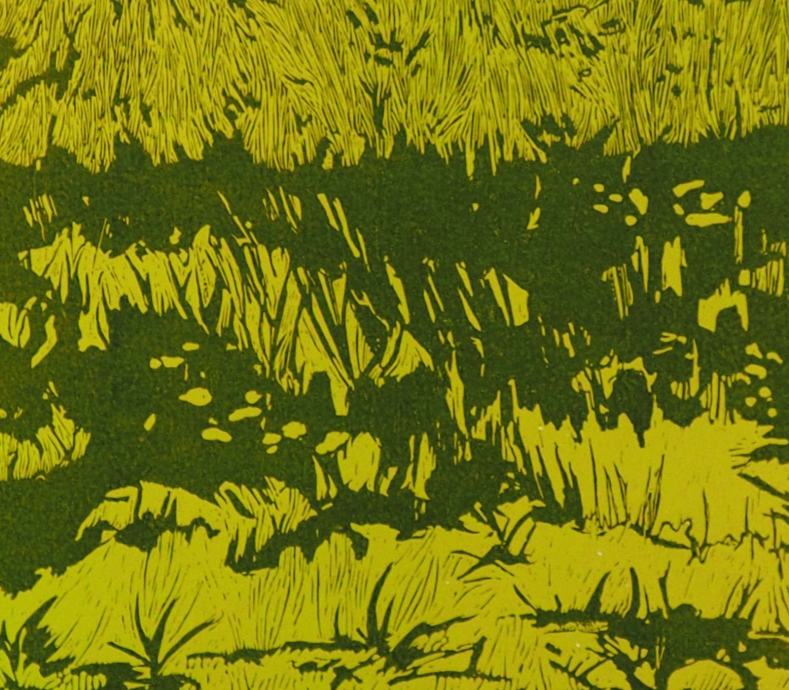 Livada, linorez u boji, 100x70 cm