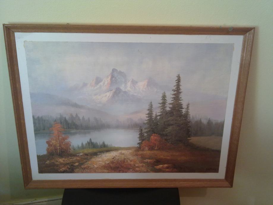 SLIKA UMJETNIKA P.LANDE,PRIRODA