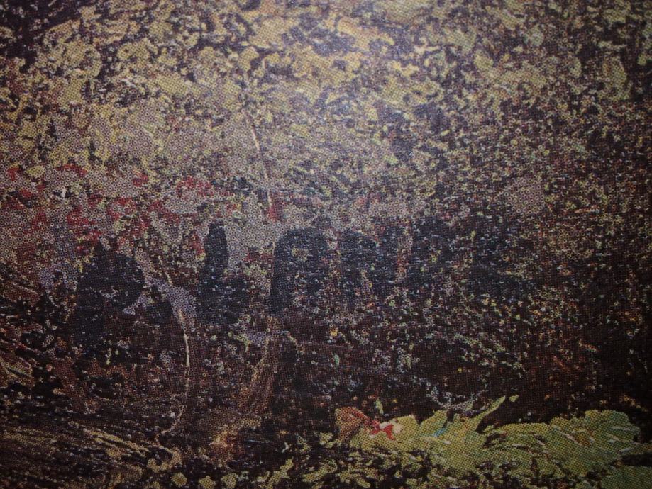 SLIKA UMJETNIKA P.LANDE,PRIRODA