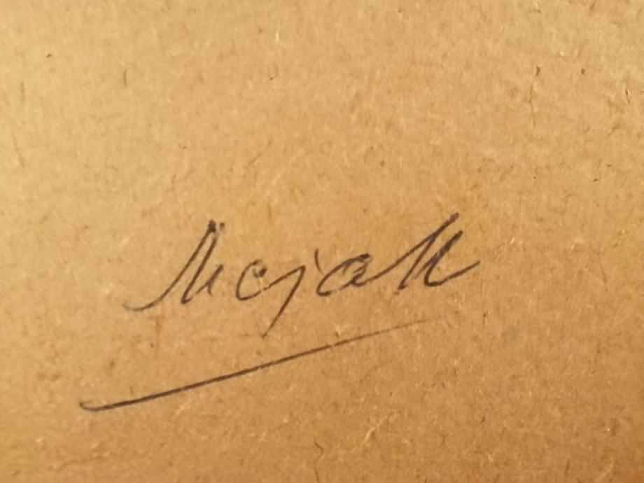 Stara umjetnina - kućica u šumi šumska kuća ,kao čudesna šuma - Mejak