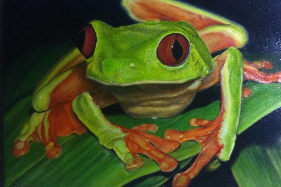 Ulje na platnu Žaba