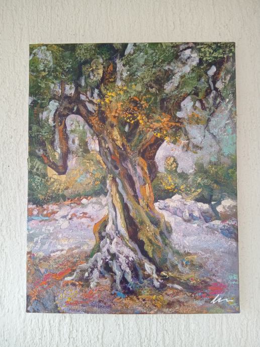 Umjetnička slika Staro drvo