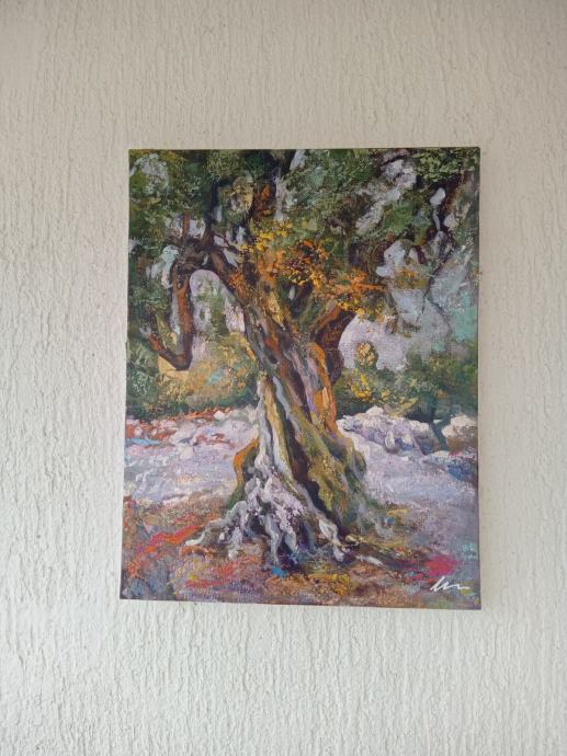 Umjetnička slika Staro drvo