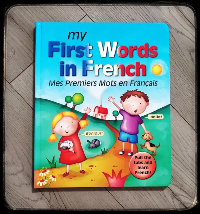 Pull the Tab: My First Words in French Sally Delaney