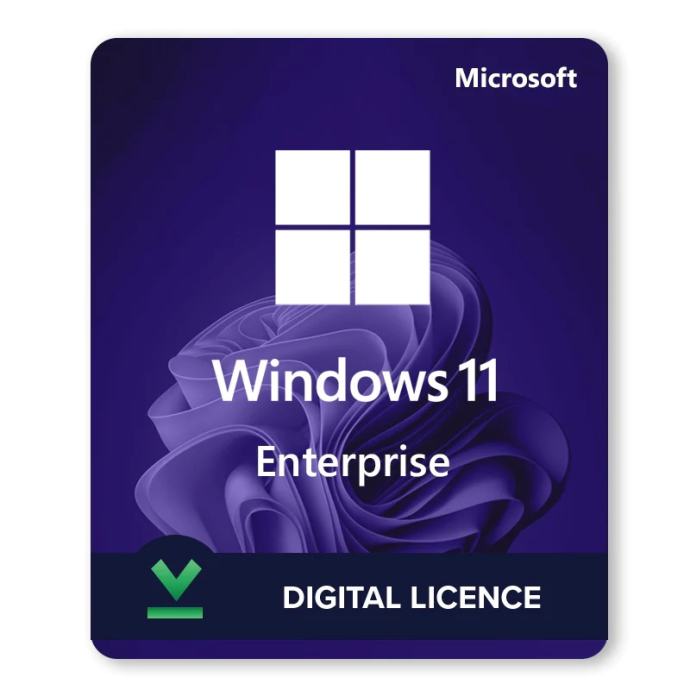 Windows 11 Enterprise digitalna licenca