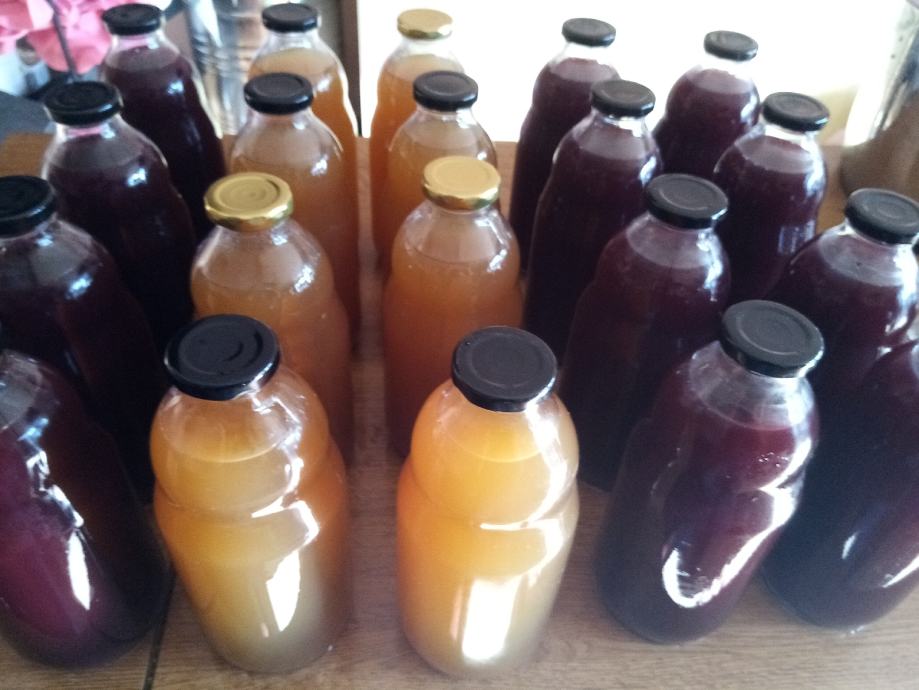 Domaci sok od jabuke i kombinacija sa aronijom. Cijena po litri