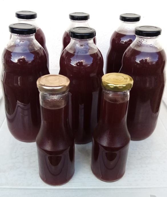 Domaci sok od jabuke i kombinacija sa aronijom. Cijena po litri