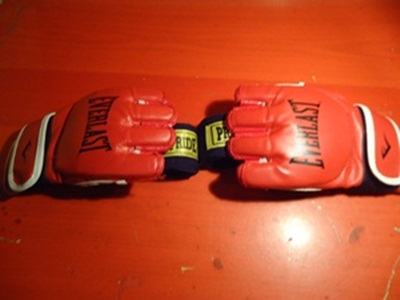Everlast rukavice za ufc ili mmA 250 kn