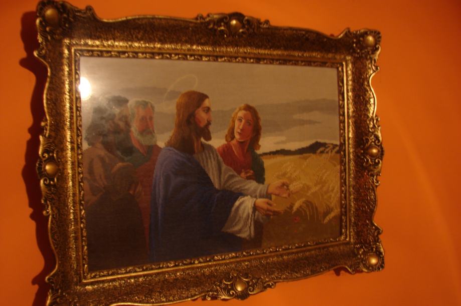 WIEHLER GOBLEN ISUS U ŽITU RARITET, RIJETKOST