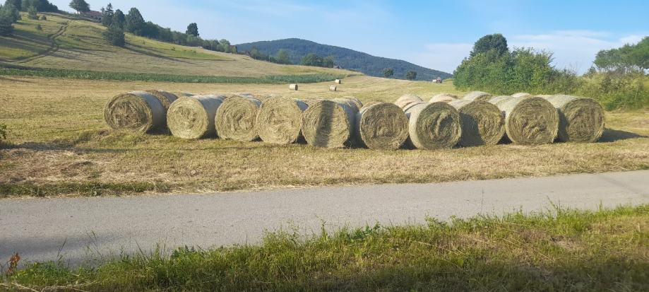 prodaje se sijeno u rolo balama