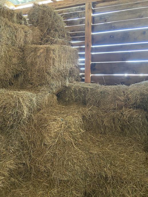 Sijeno u balama 3€