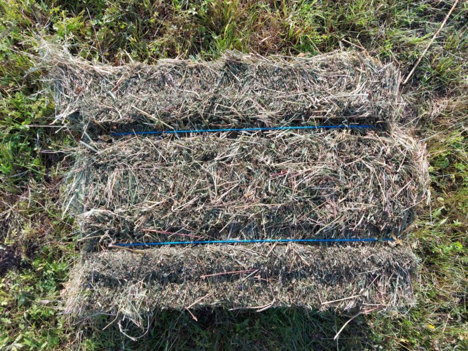 Sijeno balirano u kockastim balama