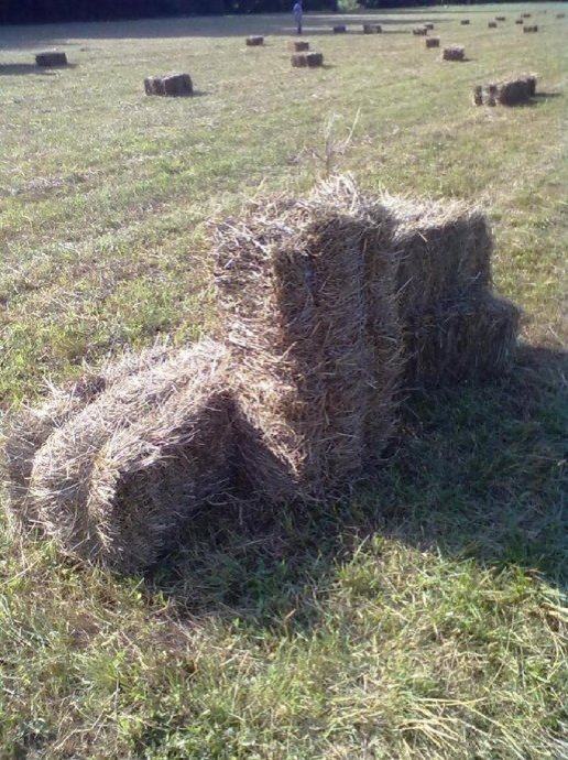 Sijeno kockaste bale