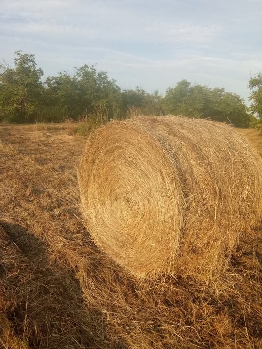 Sijeno rolobale 15€ komad