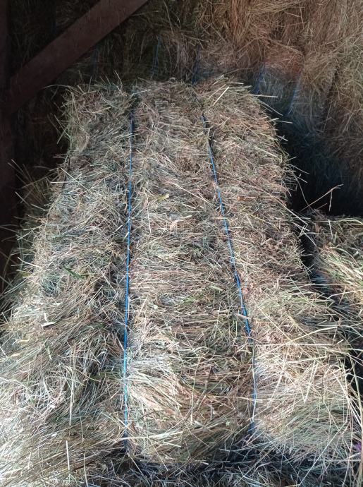 Sijeno kockaste bale (2025)