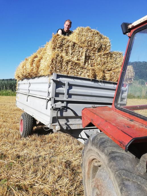 Slama u kocka balama