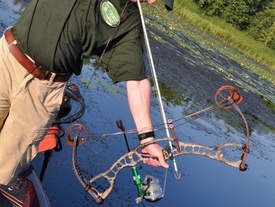Strijela/Harpun CAJUN WARHEAD za bowfishing-USA.