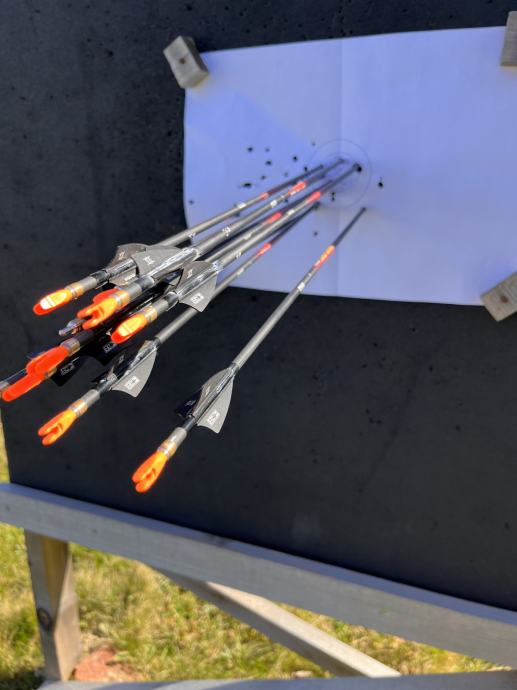 Strijele Carbon express nano pro rz 350