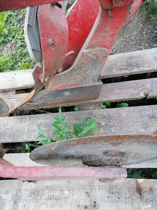 Plug IMT - 755 NISKI KLIRENS