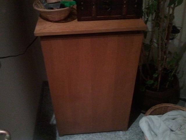 Šivaća mašina BAGAT RUŽA NOVA