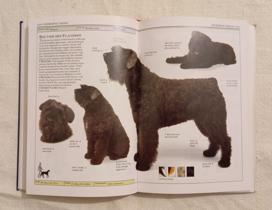 David Alderton: Dogs.