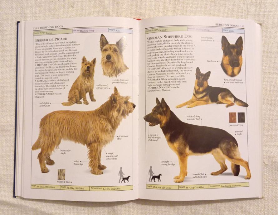 David Alderton: Dogs.