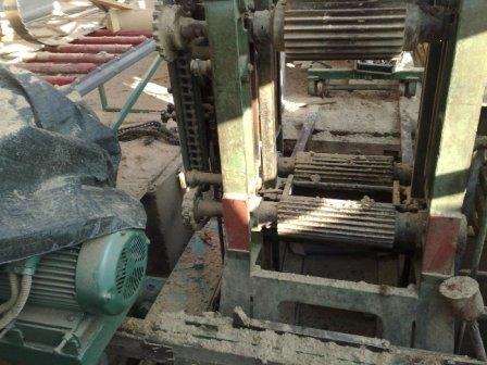 GATER ESTERER 55