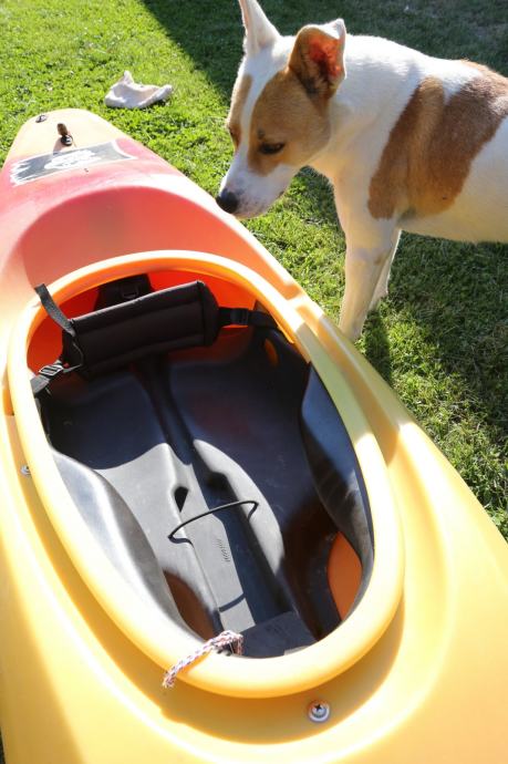 Kajak Necky Jive jeftino