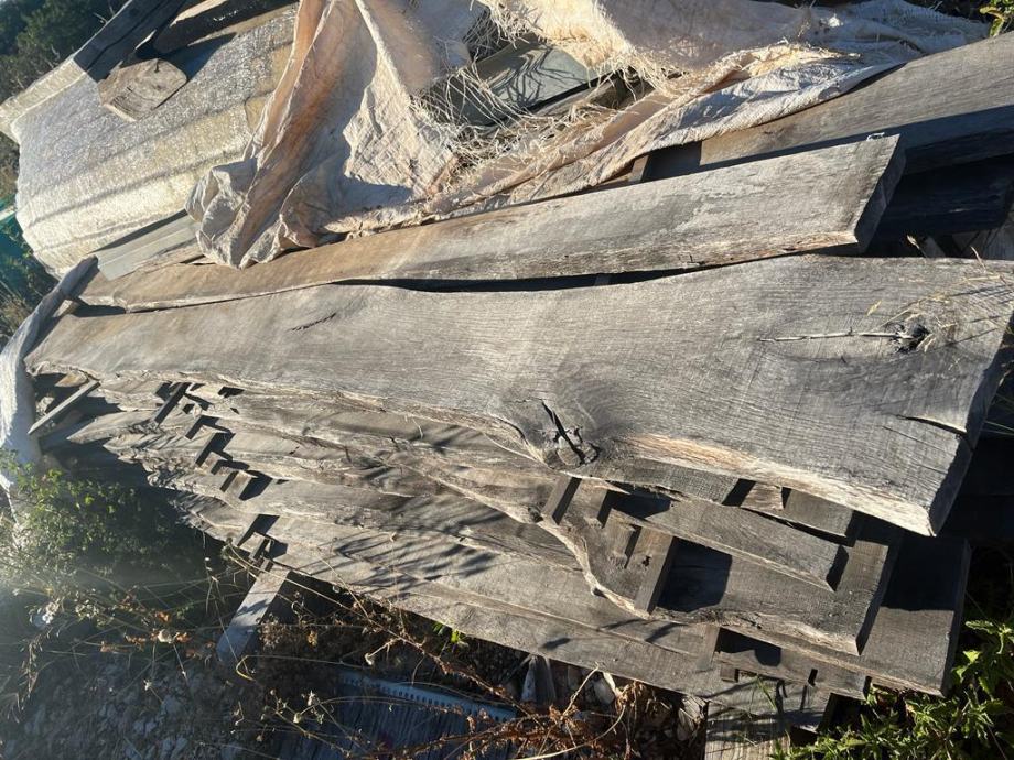 DRVO HRASTA I ARIŠA