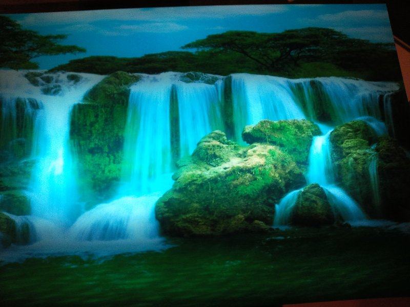 ELEKTRIČNA SLIKA PRIRODE