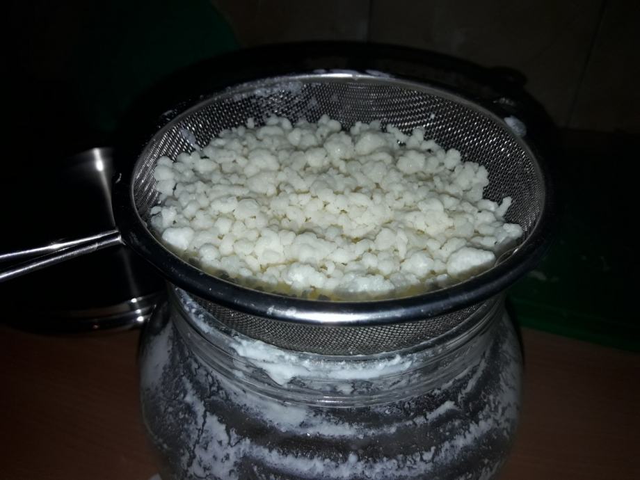 Kefirna zrnca