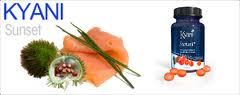 KYANI SUNSET 90 KOMADA-250KN