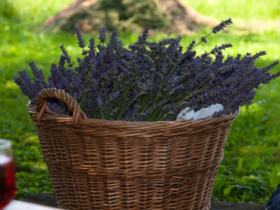 Lavanda suhi cvijet