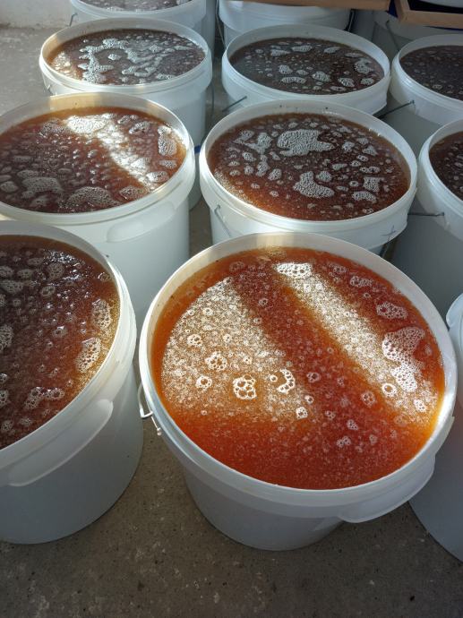 Med ( Cvjetni , Amorfa, METVICA )