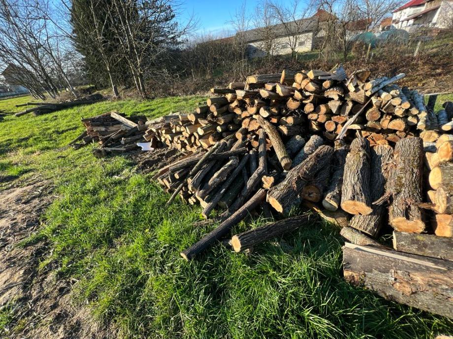 PRODAJEM DRVA AGACIJA/BREZA