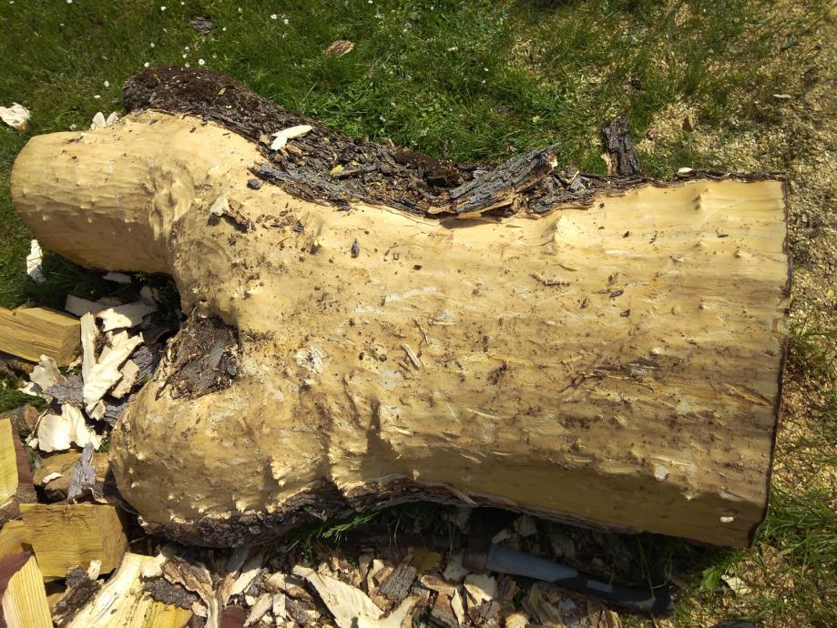 Prodajem stablo duda