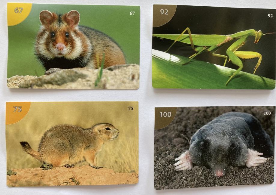 Sličice ŽIVOTINJSKO CARSTVO 2008 godina