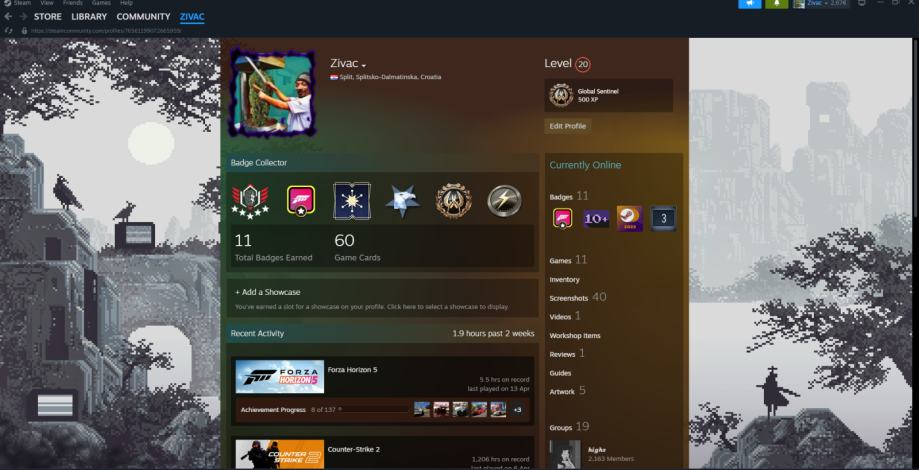 Steam Account