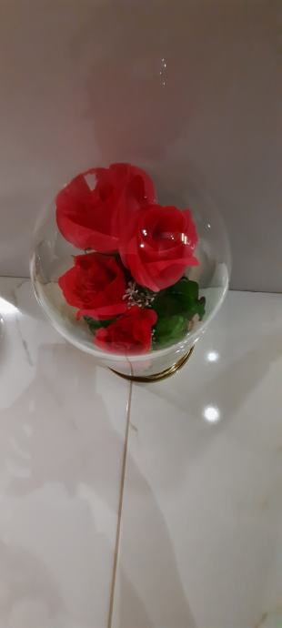 Vjecna ruza / forever rose