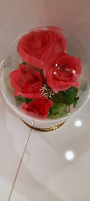 Vjecna ruza / forever rose