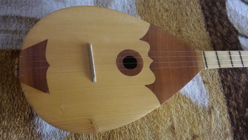 Tamburica dangubica (kuterevka, samica)