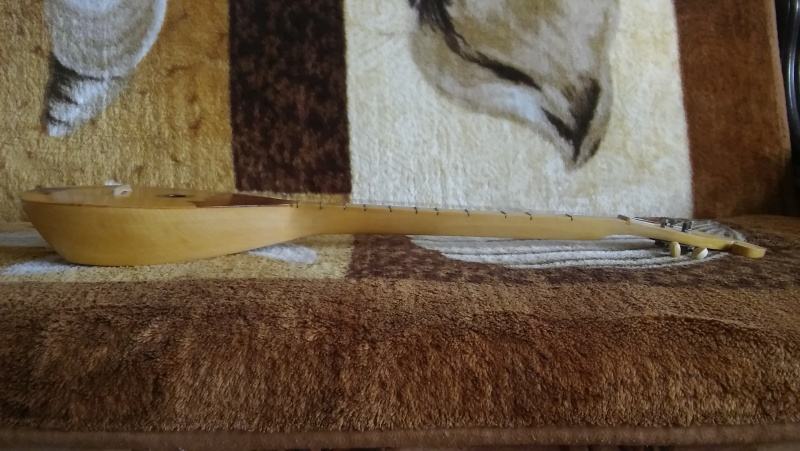 Tamburica dangubica (kuterevka, samica)