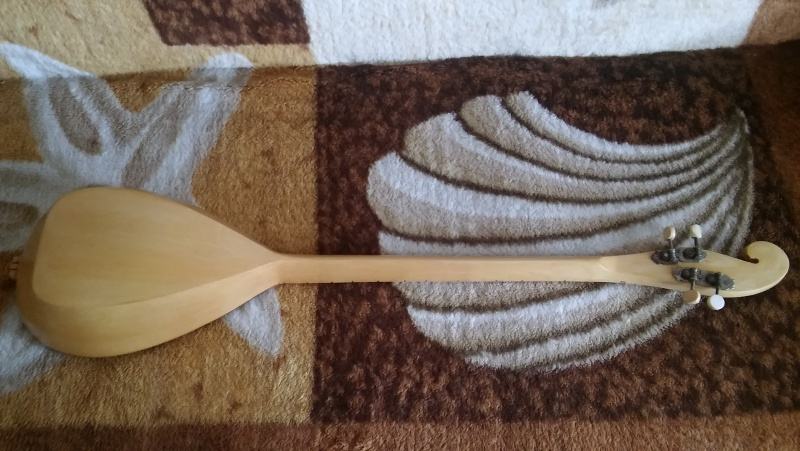 Tamburica dangubica (kuterevka, samica)