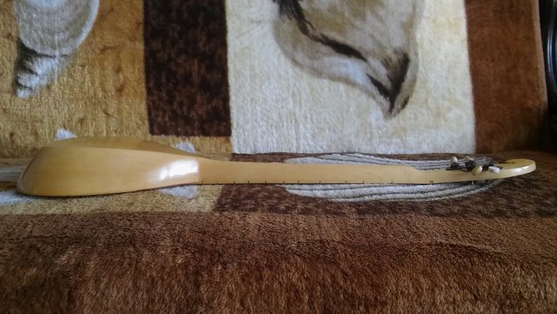 Tamburica dangubica (kuterevka, samica)