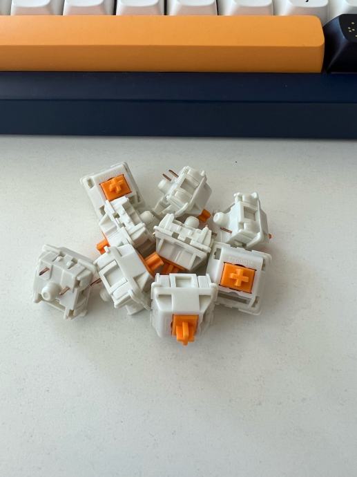 Glorious holy panda taktilni switchevi za custom tipkovnice x 100